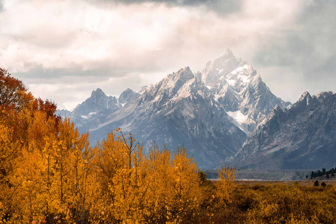 Timmermeyer Gallery – timmermeyer